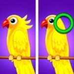 Find The Differences